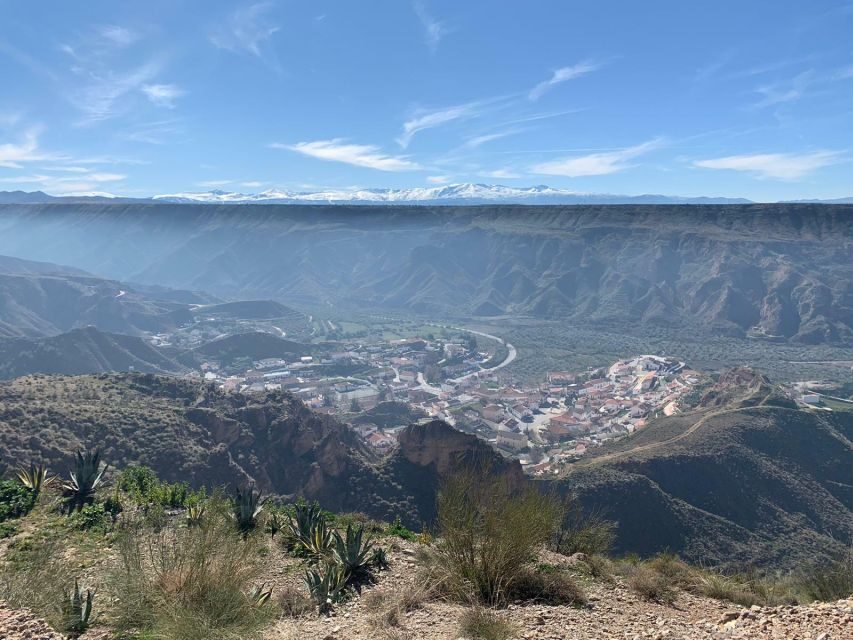 Granada Geopark: Desert and Prehistory Tour with Lunch - Making Sense of the Price and Value