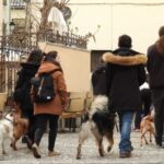 Granada: Guided Realejo Tour with Pets - In-Depth Look at the Itinerary