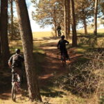 Granada: Nature, Wildlife and Authentic Villages E-bike Tour - Authenticity and Guidance Matters