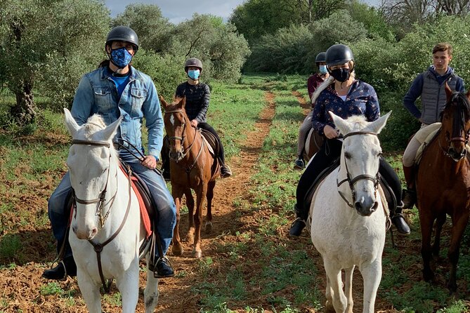 Granada & Sierra Nevada Horse Riding Tour - Visiting the Ranch & Logistics