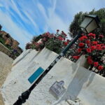 Granada: "Street Art & The Caves" Unique Guided Walking Tour - Why This Tour Offers Great Value