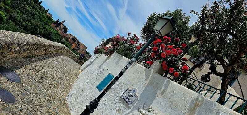 Granada: "Street Art & The Caves" Unique Guided Walking Tour - Why This Tour Offers Great Value