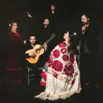 Granada: Traditional Flamenco Show at Tablao Casa Ana - A Deep Dive into the Experience