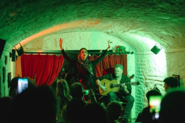 Granada: Traditional Flamenco Show in a Cave Entry Ticket - Final Thoughts: Why This Flamenco Cave Show Is a Must