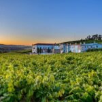 Granbazán Winery: Guided Tour and Wine Tasting - Why This Tour Is Worth It