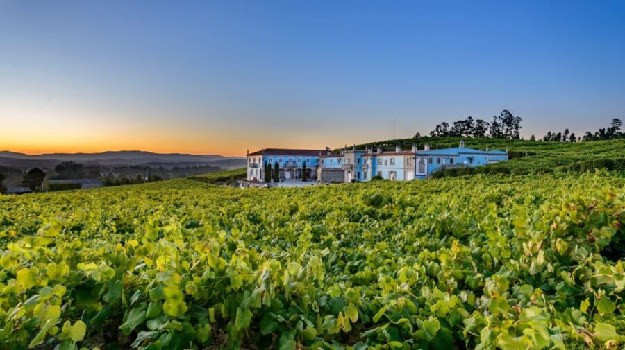 Granbazán Winery: Guided Tour and Wine Tasting - Why This Tour Is Worth It