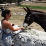 Grand Tour of Mykonos - What to Expect from the Experience