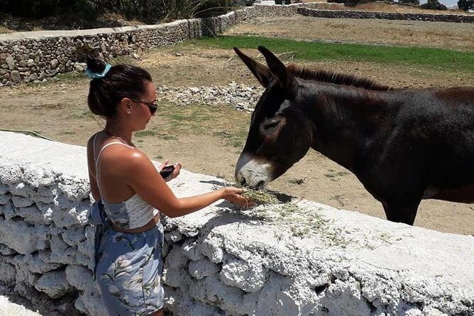 Grand Tour of Mykonos - What to Expect from the Experience