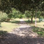 Grantchester: Walking Tour of TV Show Locations - Analyzing the Value