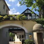 Grape Day out Pfalz to taste cracking Red wines & Riesling - What to Expect at Each Stop