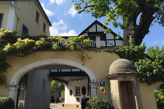 Grape Day out Pfalz to taste cracking Red wines & Riesling - What to Expect at Each Stop