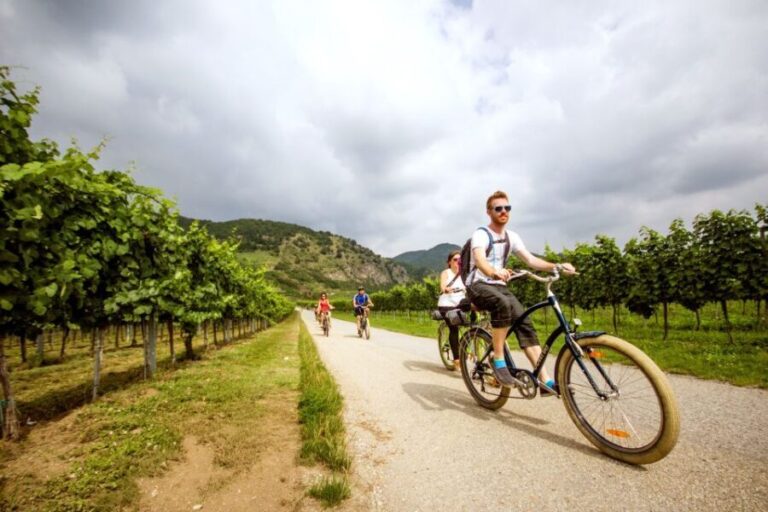 Grape Grazing: Wachau Valley Winery Biking Tour - How the Day Unfolds: A Typical Itinerary