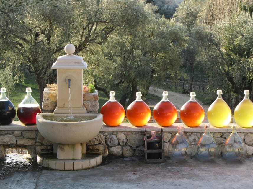 Grasse, Gourdon and local wine tasting - What We Love About This Tour