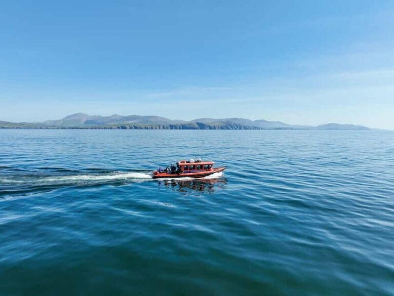 Great Blasket Island Wildlife Tour with Island Landing - The Value and Who Should Consider This Tour