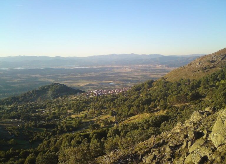 Gredos: Guided Hike in the Vettón Forest - The Itinerary: From Forest to Scenic Vistas