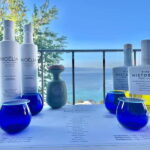 Greek Olive Oil Tasting Experience in Halkidiki - The Itinerary Breakdown