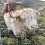 Greenock: Loch Lomond & The Trossachs National Park Tour - A Step-by-Step Look at the Tour Experience