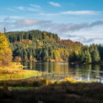 Greenock: Loch Lomond, Trossachs & Stirling Castle Tour - The Transport and Guide Experience