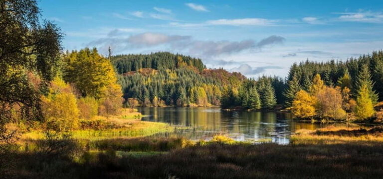 Greenock: Loch Lomond, Trossachs & Stirling Castle Tour - The Transport and Guide Experience