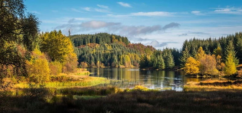 Greenock: Loch Lomond, Trossachs & Stirling Castle Tour - The Transport and Guide Experience