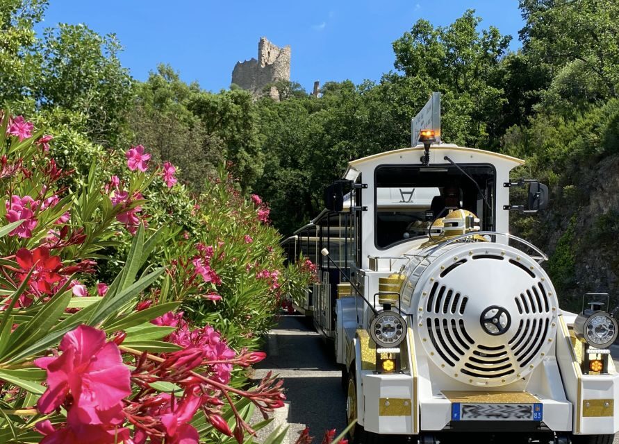 Grimaud: Guided Tour of Port Grimaud & Grimaud by Train - A Closer Look at the Experience