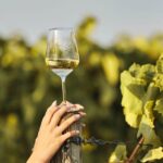 Grimaud: Horseback Riding & Wine Tasting in Maures Forest - The Wine Tasting: A Perfect Provençal Finish