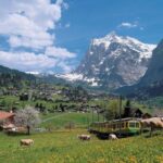 Grindelwald, Interlaken and Lauterbrunnen Day Trip from Lucerne - Transportation and Comfort