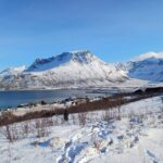 Grøtfjord, Tromsø. Unique Artic scenic route. - Wildlife and Natural Beauty