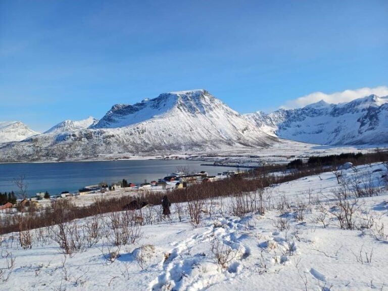 Grøtfjord, Tromsø. Unique Artic scenic route. - Wildlife and Natural Beauty