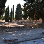 Group Excursion from Seville to Italica (Seville Roman Town) - Tasting the Flavors: Pañoleta Park and Wine