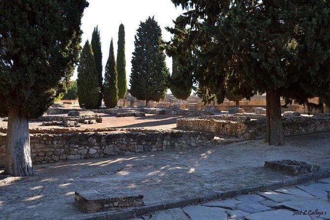 Group Excursion from Seville to Italica (Seville Roman Town) - Tasting the Flavors: Pañoleta Park and Wine