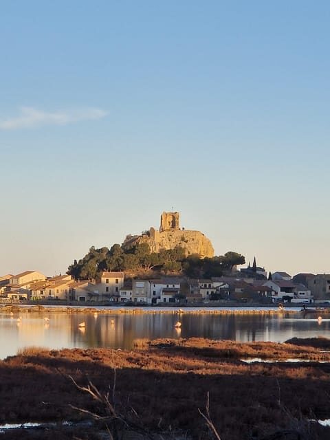 Gruissan: from the New Port to the Old Village - Detailed Tour Breakdown