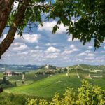 Gruyere village - Overview of the Entire Experience