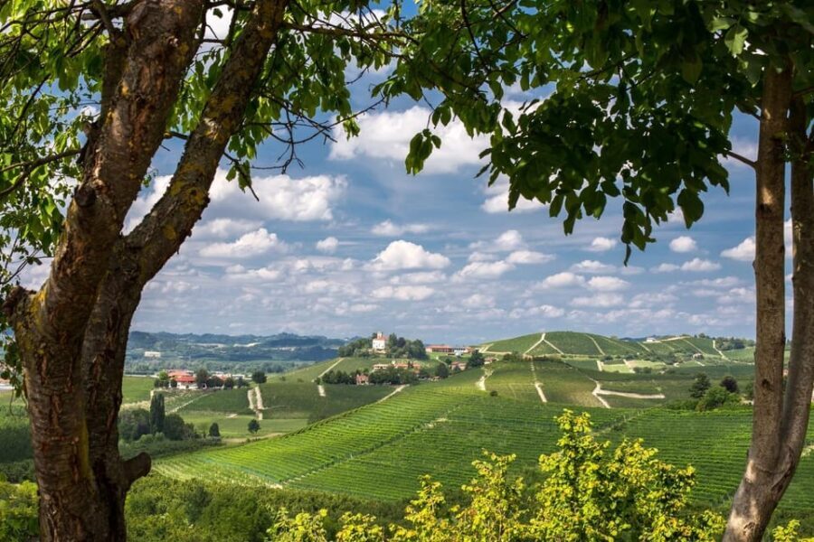 Gruyere village - Overview of the Entire Experience