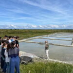 Guérande Salt Marshes tour - Breaking Down the Tour