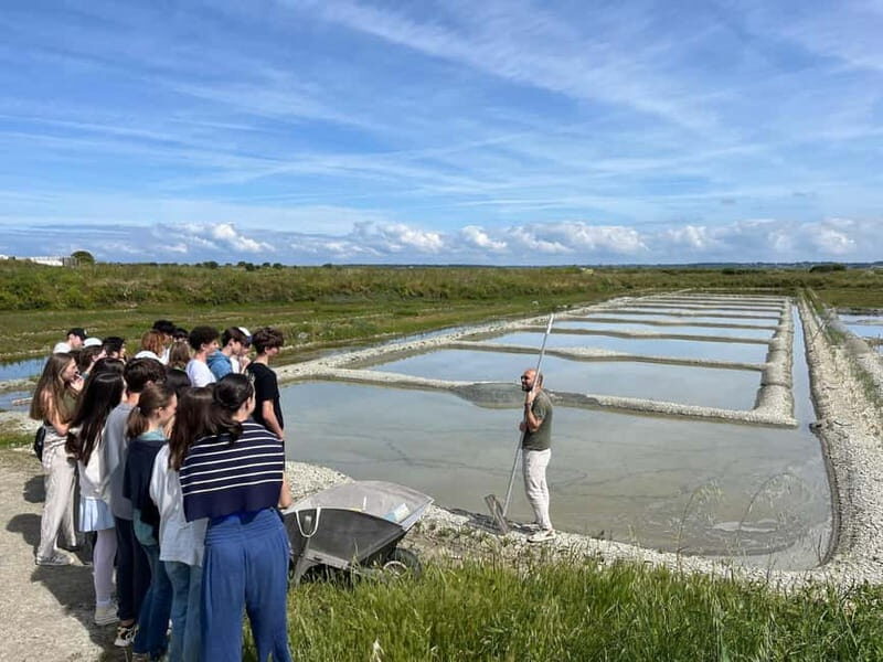 Guérande Salt Marshes tour - Breaking Down the Tour