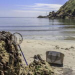 Guernsey: Half-Day Island Shore Excursion Tour - Authentic Experiences and Insights