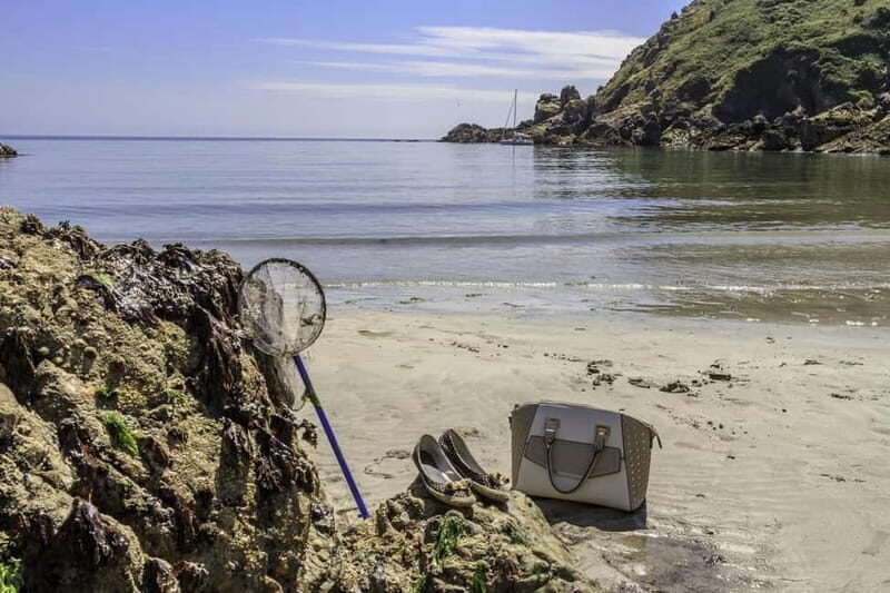 Guernsey: Half-Day Island Shore Excursion Tour - Authentic Experiences and Insights