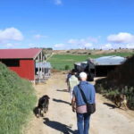 Guide Visit to the old Cheese Factory - Final Thoughts