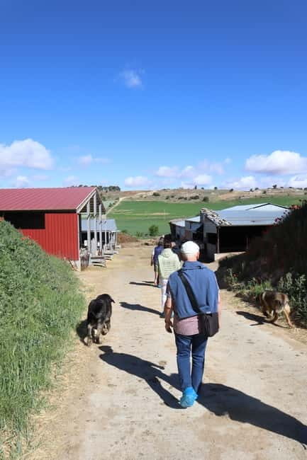 Guide Visit to the old Cheese Factory - Final Thoughts
