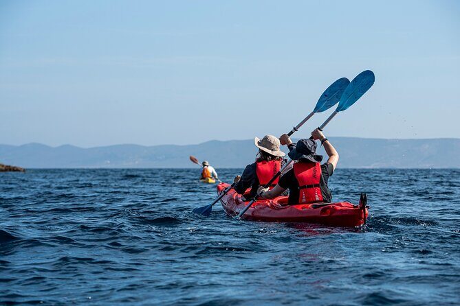 Guided Athens Sea Kayak Temple of Poseidon - Who Will Love This Tour?