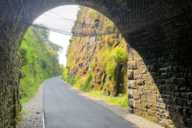 Guided Bike Ride: Exploring the Limerick Greenway - Who Will Enjoy This Tour?