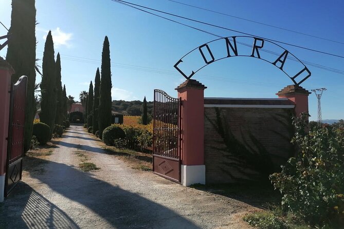 Guided Cellar Tour and wine tasting - Key Points