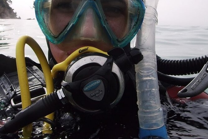 Guided dive for certified divers - An Honest Look at the Guided Dive for Certified Divers in Brindisi