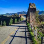 Guided E-Bike Tour. The Surroundings of Pisa: History, Nature and Secret Sights - The Details That Make This Tour Special