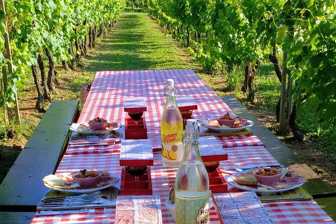 Guided E-Bike Tour with Wine Tasting from Lucca - Get Ready to Pedal Through Lucca and Sip Fine Wines
