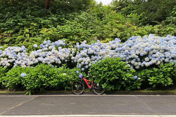 Guided Electric Mountain Bike in Sete Cidades - Comprehensive Review of the Guided Electric Mountain Bike in Sete Cidades