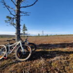 Guided Fatbike Tour in Ivalo - The Itinerary in Detail