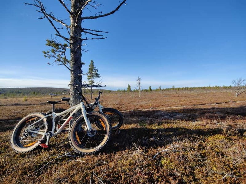 Guided Fatbike Tour in Ivalo - The Itinerary in Detail