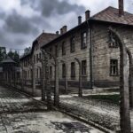 Guided Group Tour to Auschwitz-Birkenau from Krakow - Stop 2: The Memorial and Museum Auschwitz-Birkenau
